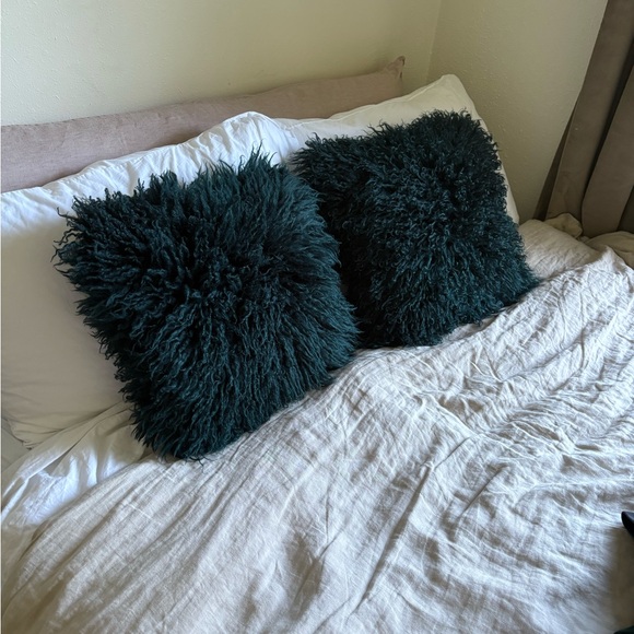 West Elm | Accents | West Elm Genuine Mongolian Sheeps Wool Teal Accent ...